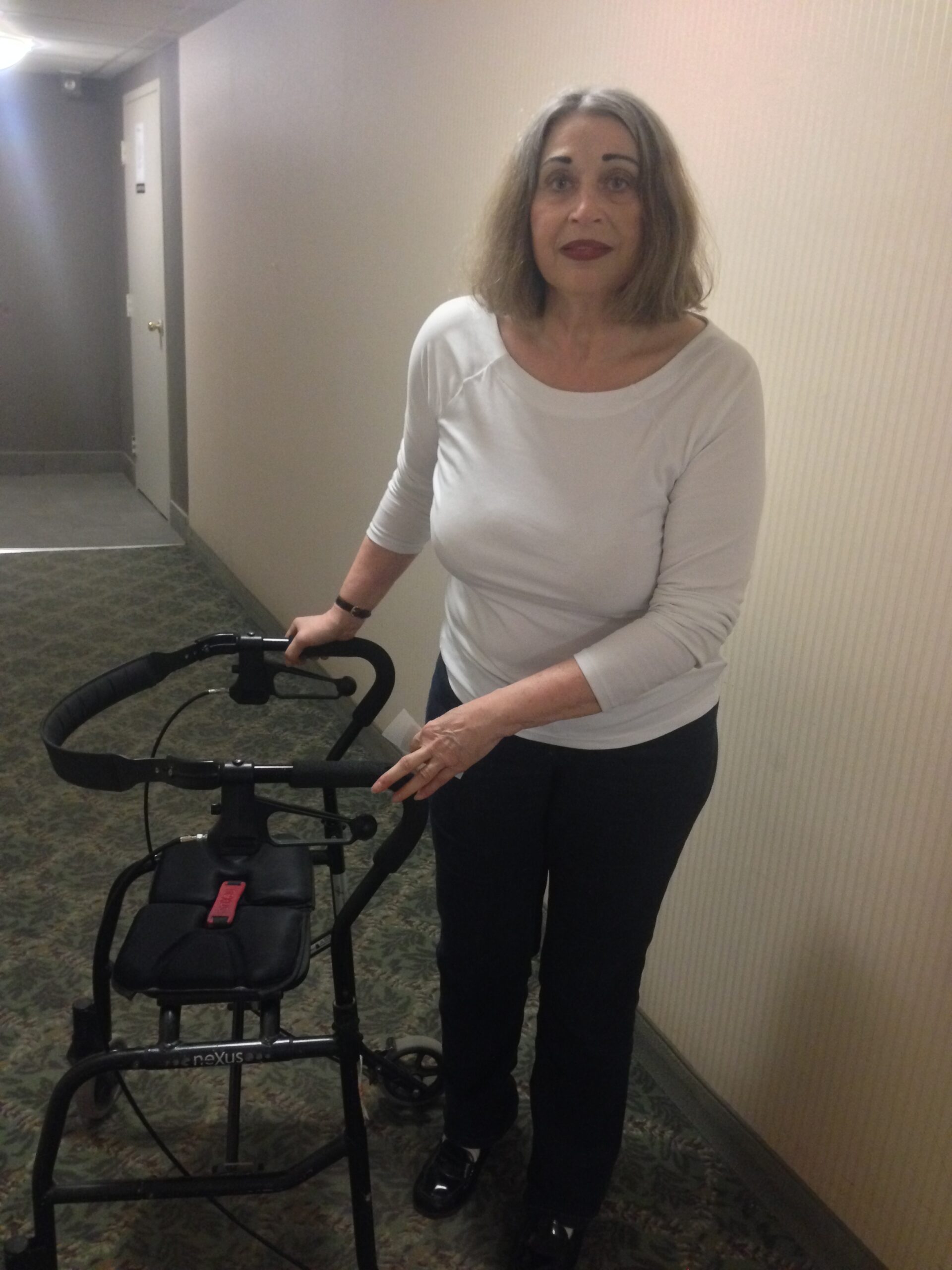 Accessible Employment Services: Judy’ Journey - Spinal Cord Injury ...