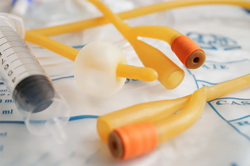 The Bladder: The urinary system | Spinal Cord Injury Ontario